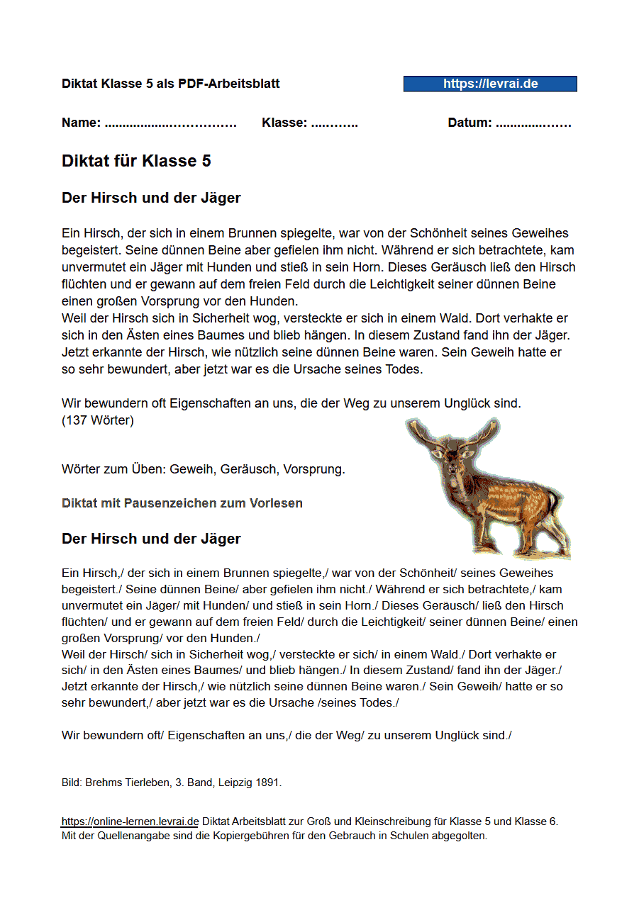 Diktat Klasse 6
