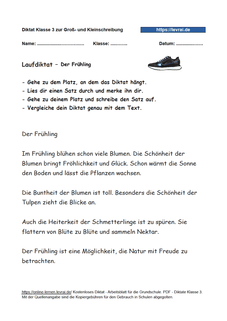 Diktat für Klasse 3 zur Groß- und Kleinschreibung