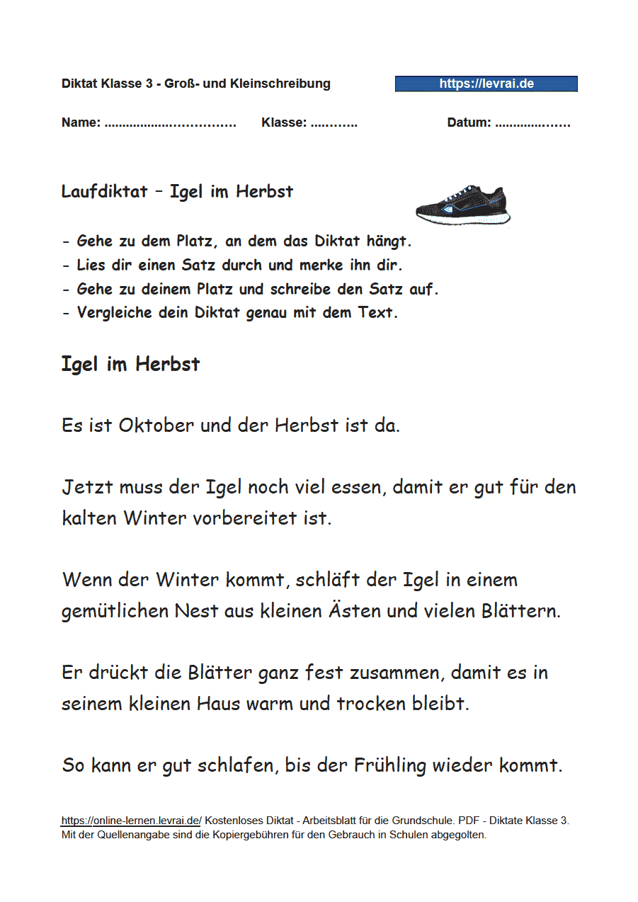 Diktat für Klasse 3 zur Groß- und Kleinschreibung