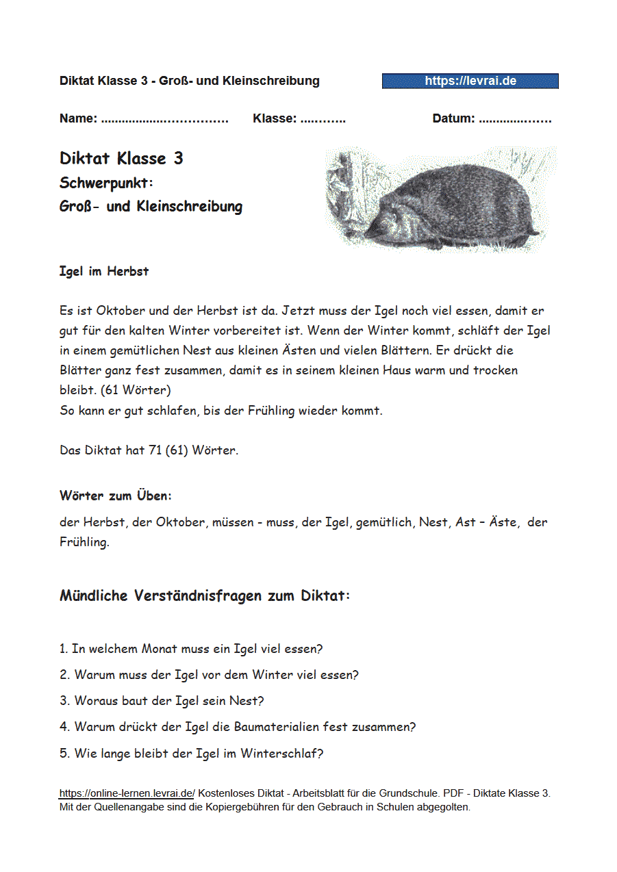 Diktat für Klasse 3 zur Groß- und Kleinschreibung