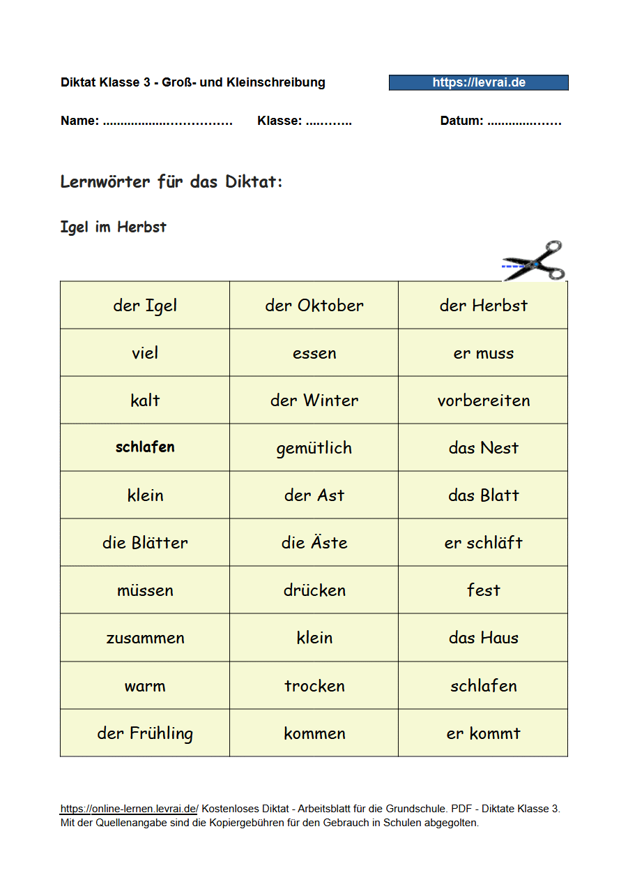 Diktat für Klasse 3 zur Groß- und Kleinschreibung