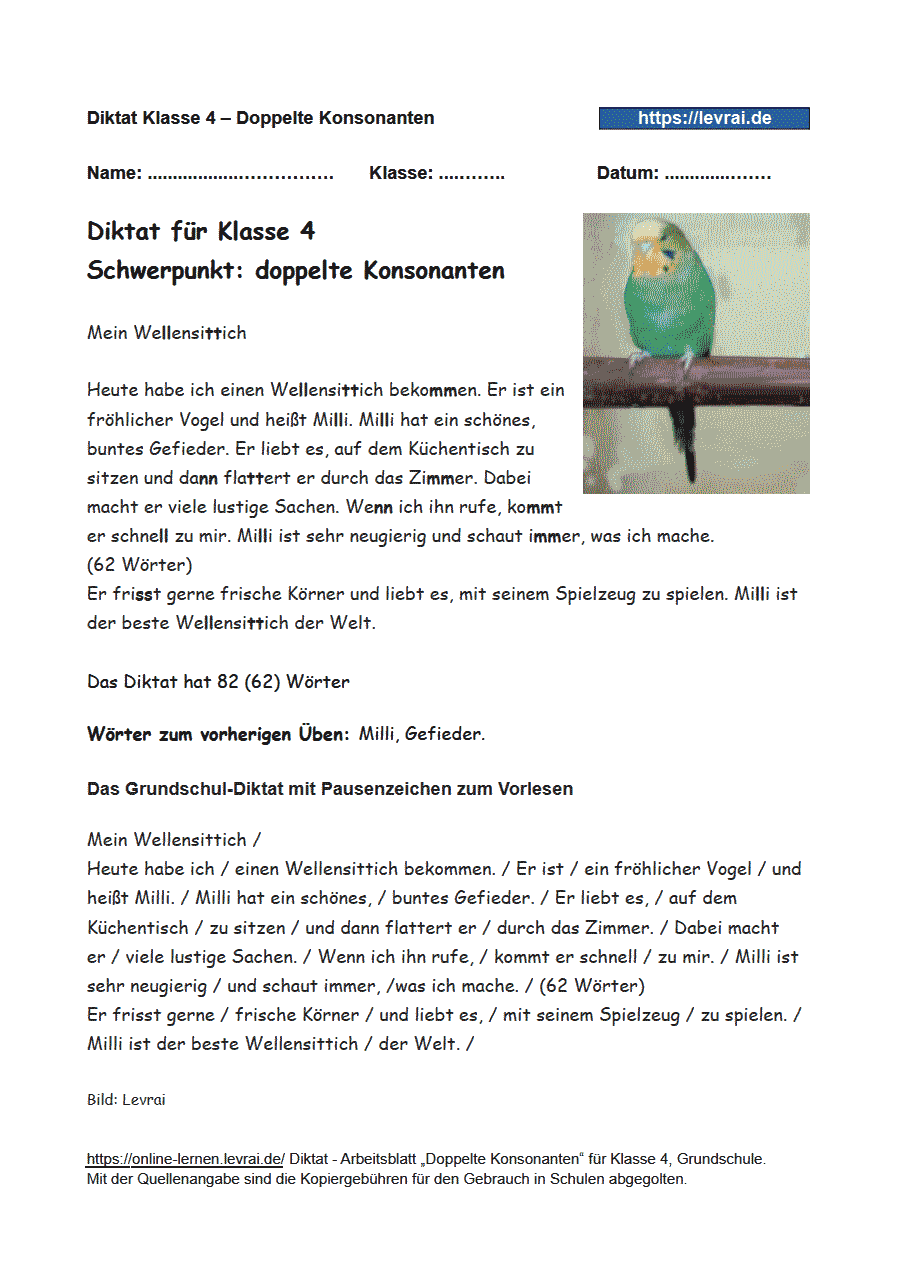 Klasse 4 Diktat zu doppelten Konsonanten